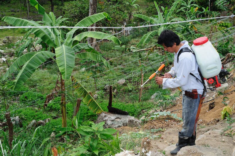 Fumigated Container Stock Photos - Free & Royalty-Free Stock Photos ...
