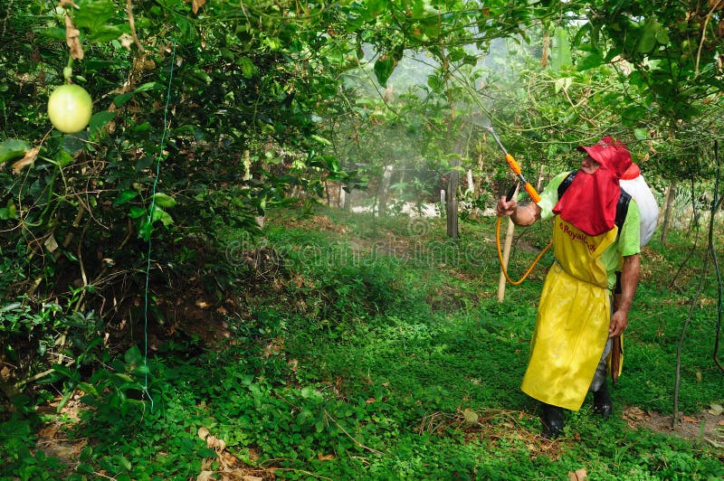 Fumigated Container Stock Photos - Free & Royalty-Free Stock Photos ...