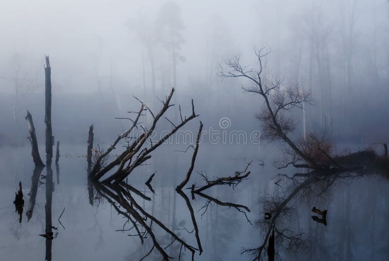 Marais brumeux image stock. Image du bleu, mort, centrale - 1645591