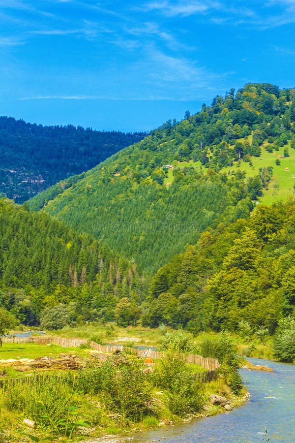 Maramures stock photo. Image of beautiful, branches, maramures - 56450186