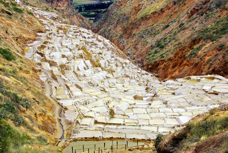 Maras foto de archivo. Imagen de cultive, color, salino - 47098732