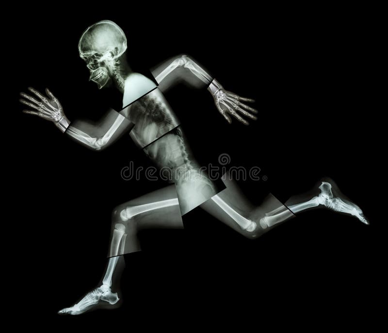 Marathon (human Bone is Running) Stock Image - Image of exercise ...
