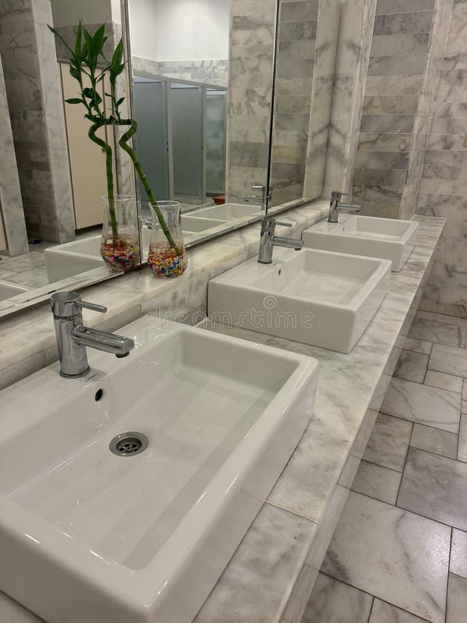 Marble Bathroom with Tree White Sinks and Bamboo Plants in Spa, Leisure ...