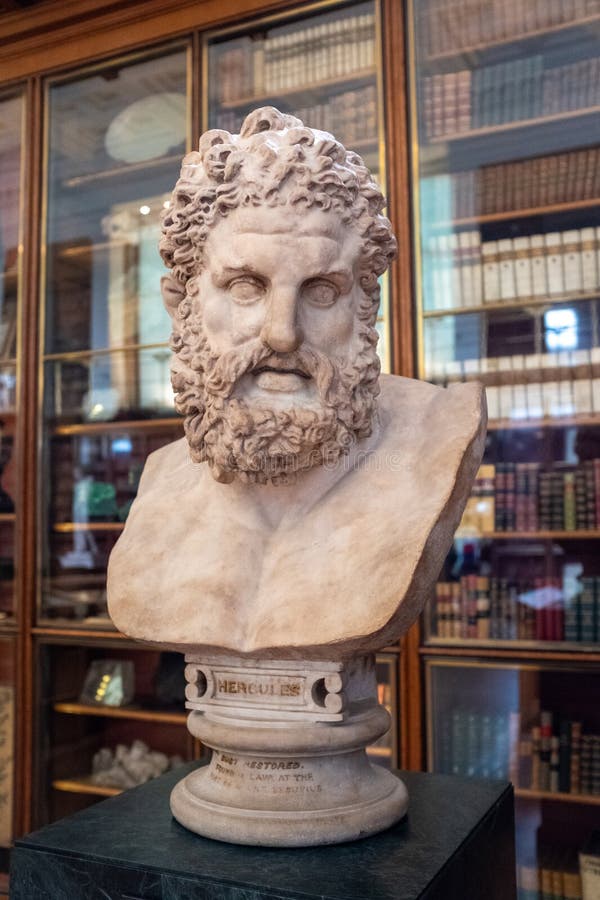 Marble Bust of a Bearded Male Figure by the Name of Hercules. British ...