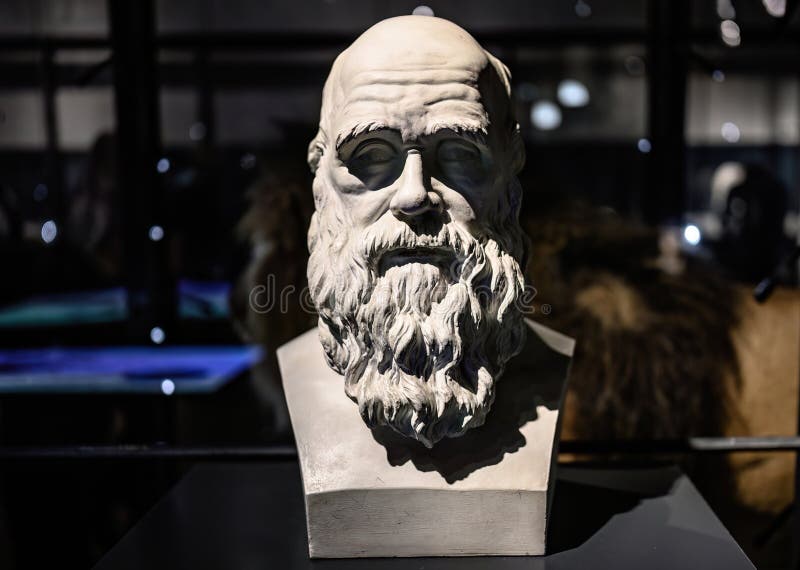 Marble Bust of Charles Darwin in Nature Museum Editorial Stock Photo ...