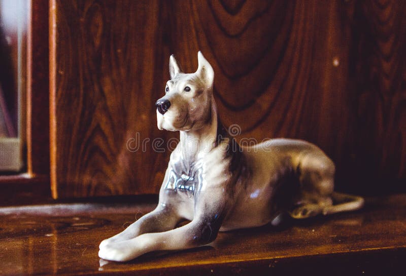 Marble dog stock photo. Image of lying, marble, home - 117923074