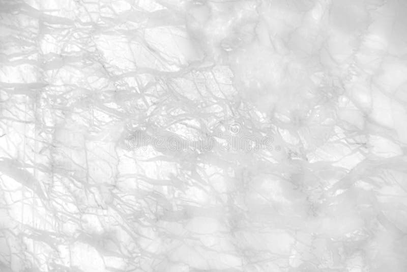 305 Vien Texture Stock Photos - Free & Royalty-Free Stock Photos from ...