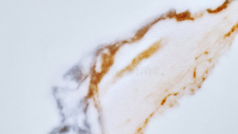 Marble Granite Grey White Gold Texture Ruby Floor Ceramic Counter Stock ...