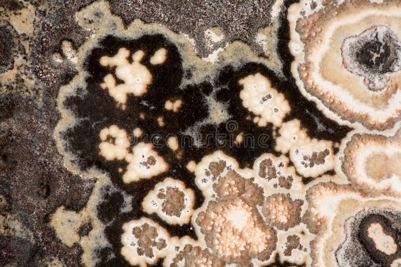 Marble Rocks of Different Types High Quality Studio Lighting Shot Stock ...