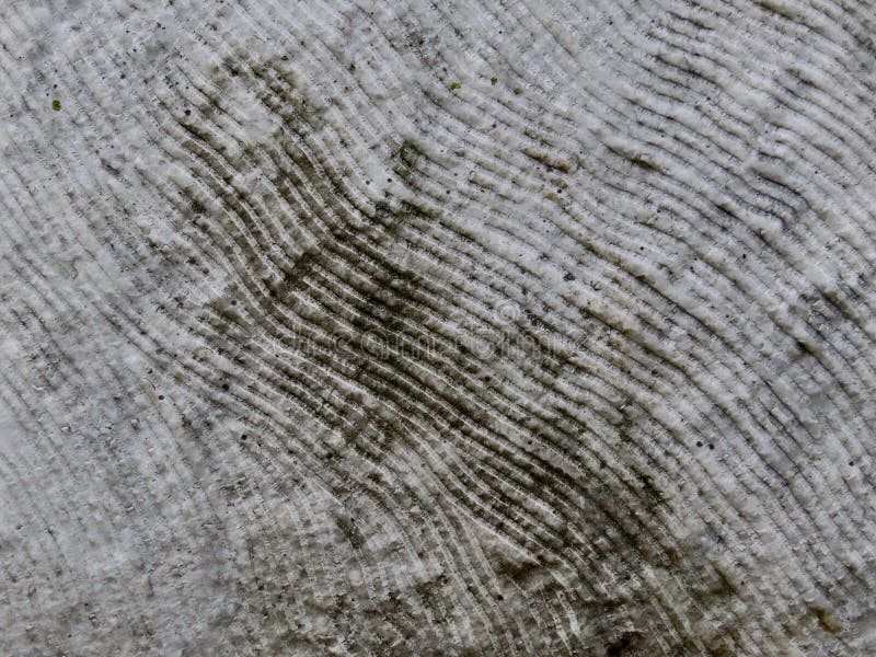 Marble rough grey stock photo. Image of design, groves - 181566714