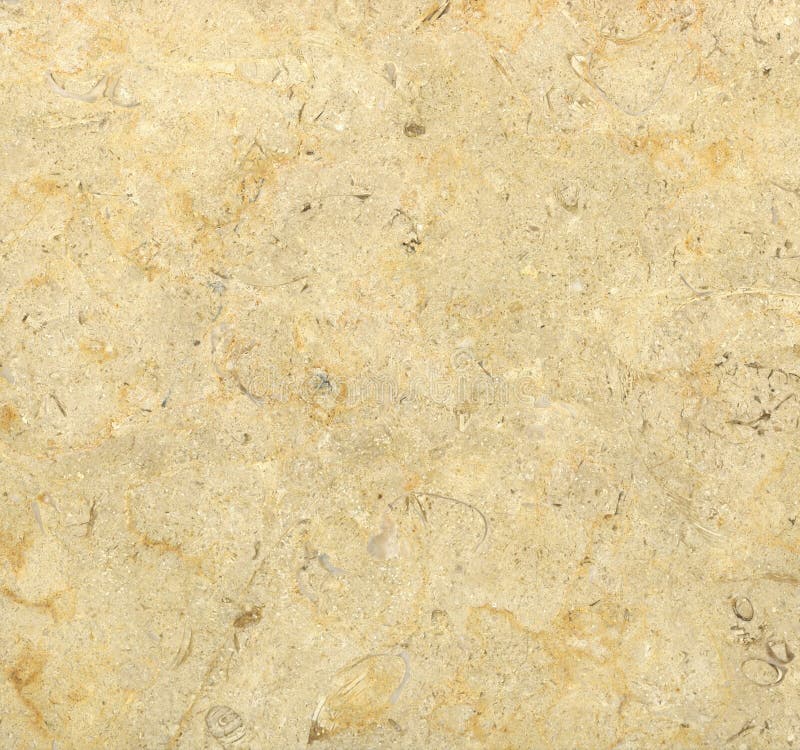 Marble Slab Stone Classic Cream Stock Image - Image of stone, surface ...