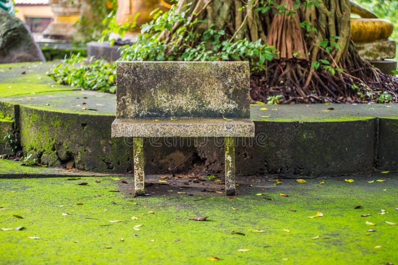 Marble Table Bench Under Tree. Stock Image - Image of park, home: 79748457