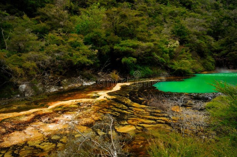Warbrick Terraces, Waimangu Volcanic Valley Stock Photo - Image of ...