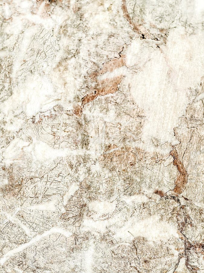 Great for Textures and Backgrounds. Perfect Background Stock Image ...