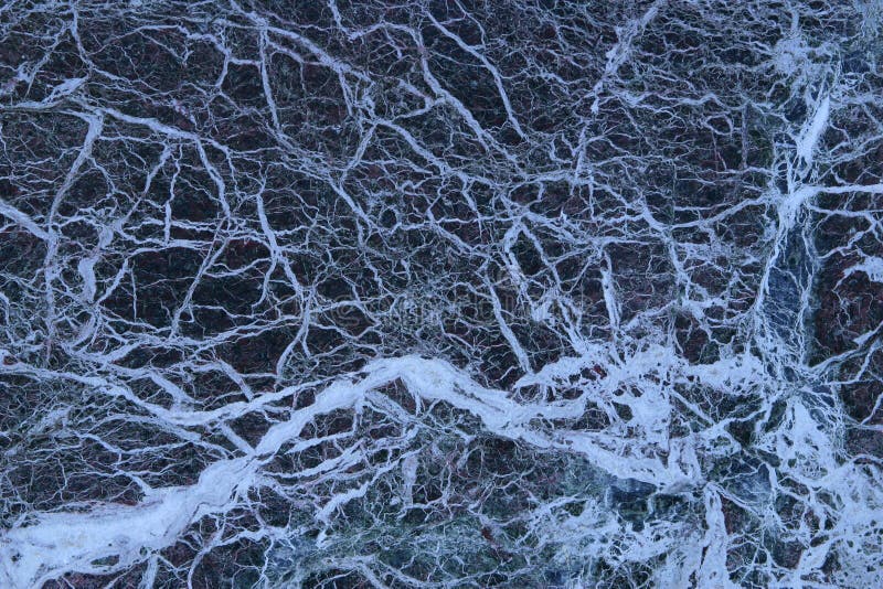 Marble with veins stock photo. Image of veins, marble, background - 48008