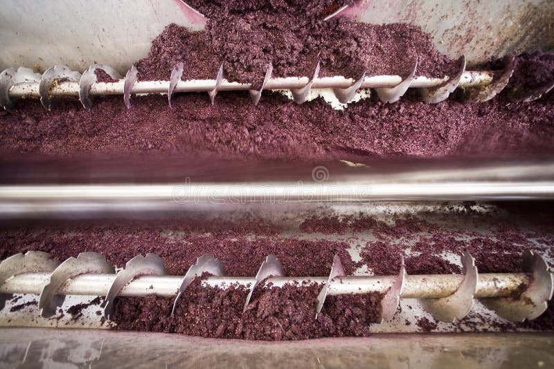 Marc stock image. Image of grappa, fermented, farm, harvest - 10251373