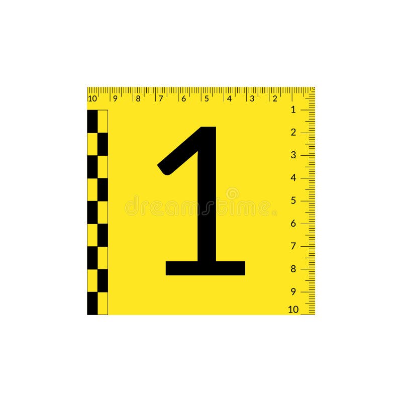 Conjunto De Reglas De Medición Forense Ilustración del Vector ...