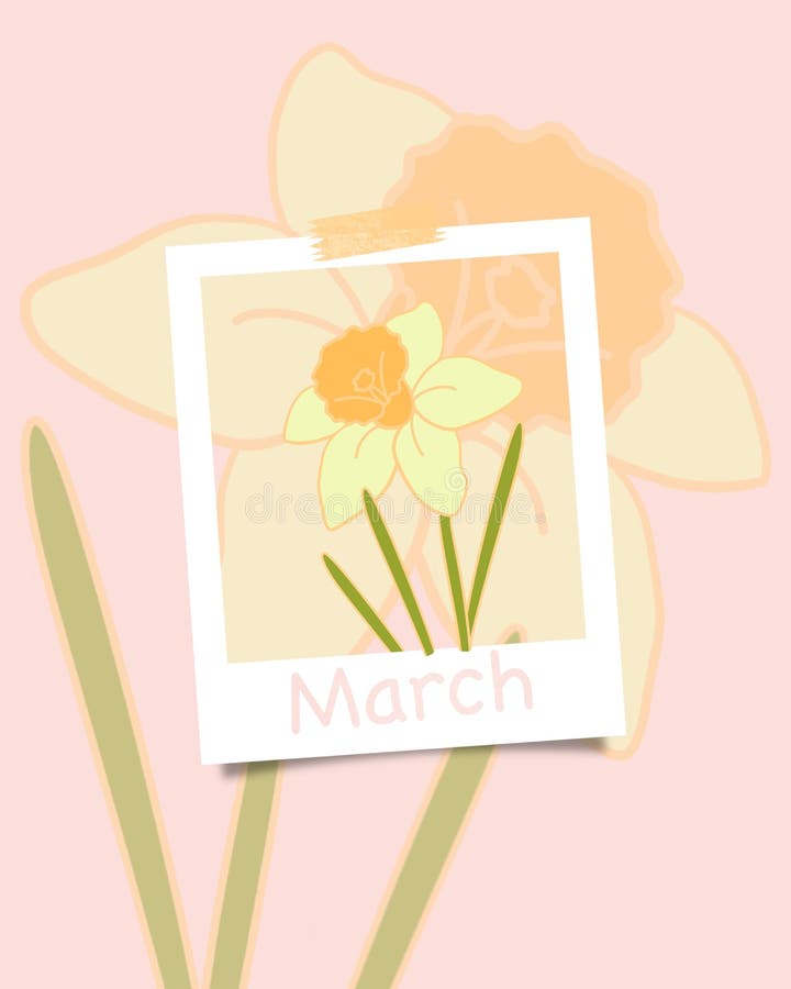 Minimalist Flat Floral Illustration of Yellow Daffodil Flower. March ...