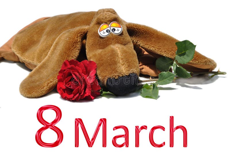 8 March and dog stock photo. Image of march, gift, postcard - 36749036