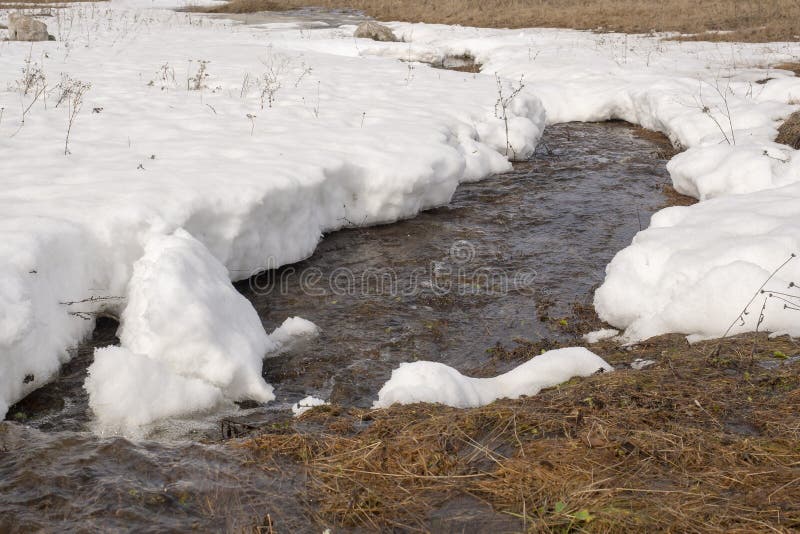 March. Early Spring, Melting Snow on a Meadow and a Stream of Melt ...