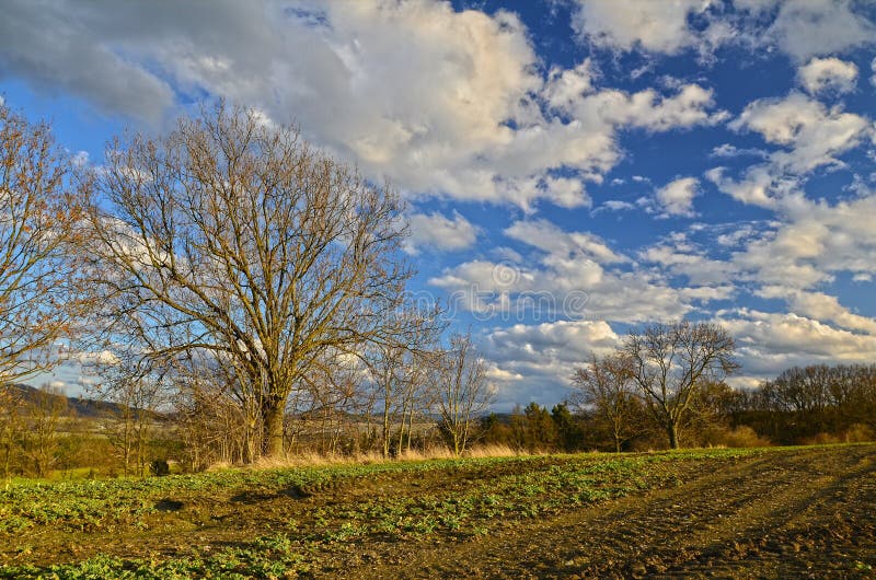 March field stock image. Image of environment, grass - 51367999