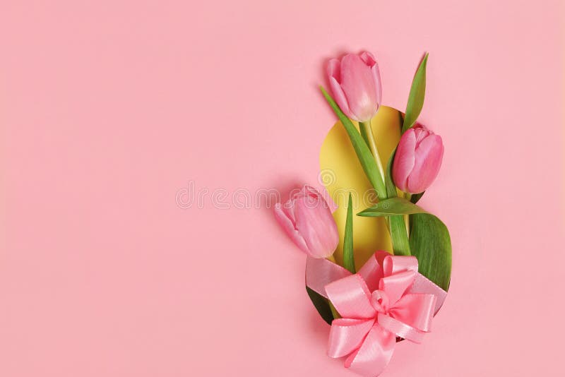 8 March Greeting Card with Tulips on Pink Background with Copy Space ...