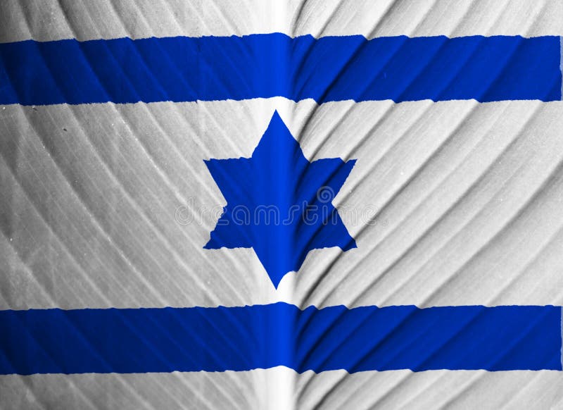 Ink Flag of Israel on Texture. in March 1949, the Israeli Armed Forces ...