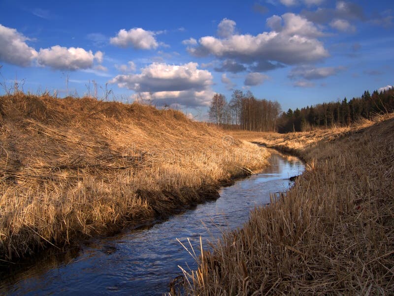 March landscape stock photo. Image of leafless, spring - 1559298
