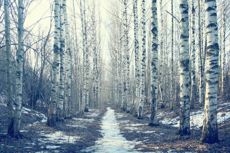 166,564 March Landscape Stock Photos - Free & Royalty-Free Stock Photos ...