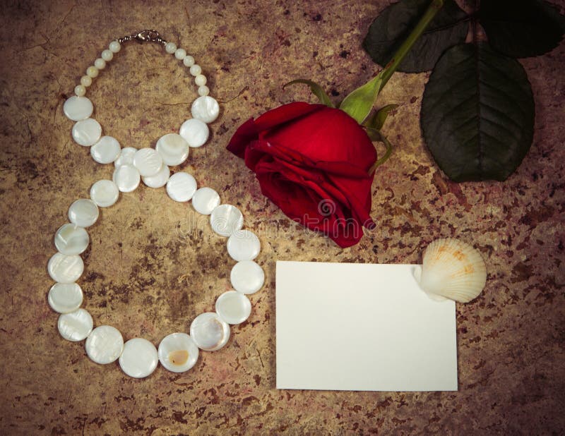 March 8, Red Rose Flower and Shells Stock Image - Image of love ...