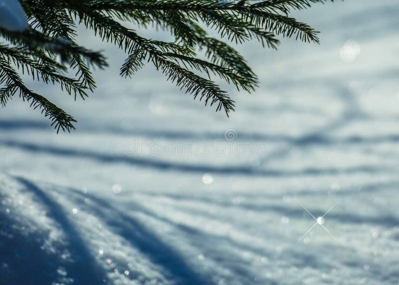 March snow glitters stock image. Image of festive, beautiful - 141114239