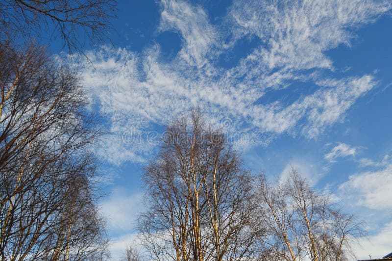 March Spring Blue Sky with Clouds Stock Image - Image of march, 2022: ...