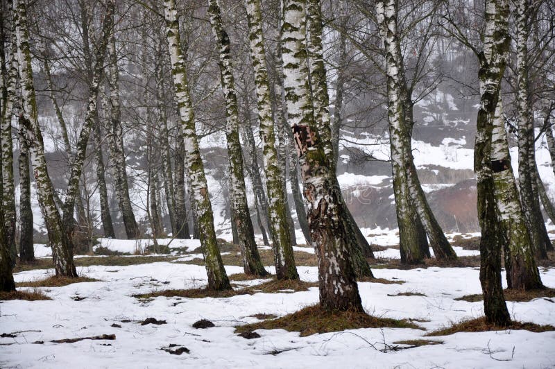 The March spring thaw_5 stock photo. Image of space, spring - 83447650