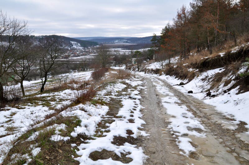 The March spring thaw_2 stock photo. Image of forest - 83398714