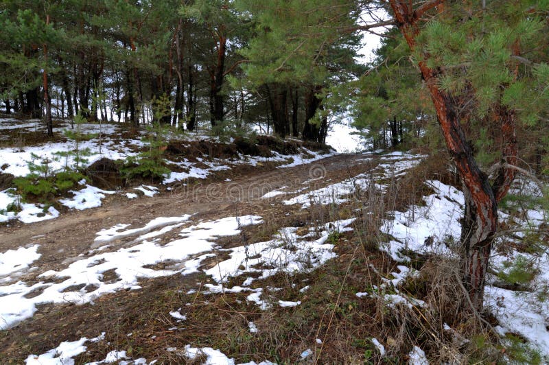 The March spring thaw_5 stock photo. Image of thawing - 83399518