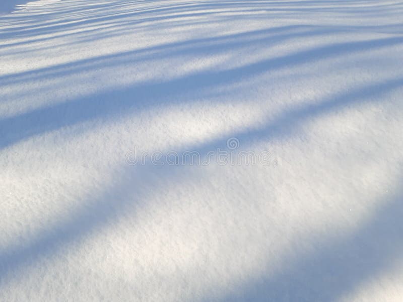 March Stripes of Shadow. Shadows of Trees in the Snow Stock Photo ...