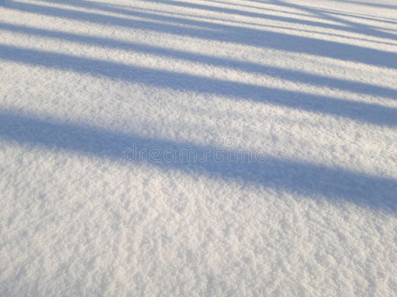 March Stripes of Shadow. Shadows of Trees in the Snow Stock Photo ...