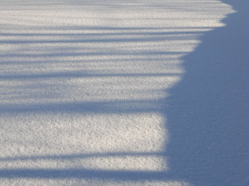 March Stripes of Shadow. Shadows of Trees in the Snow Stock Photo ...