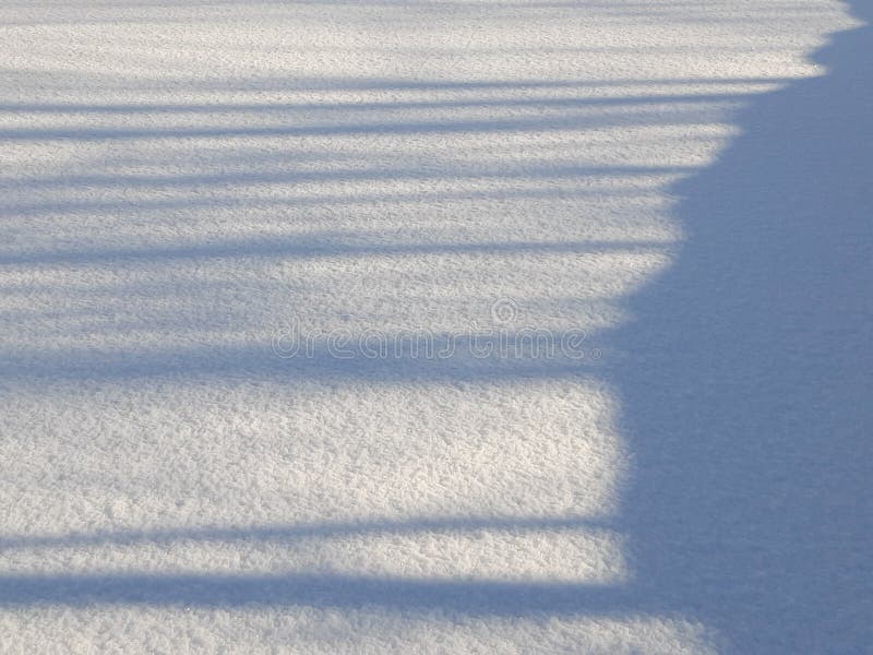 March Stripes of Shadow. Shadows of Trees in the Snow Stock Image ...