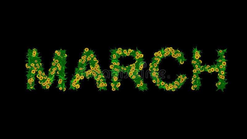 March Text with Green Leaves and Yellow Daisy Flowers on Plain Black ...