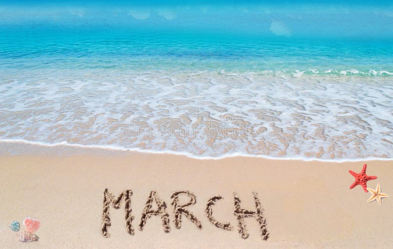 March on a tropical beach stock image. Image of space - 229195331
