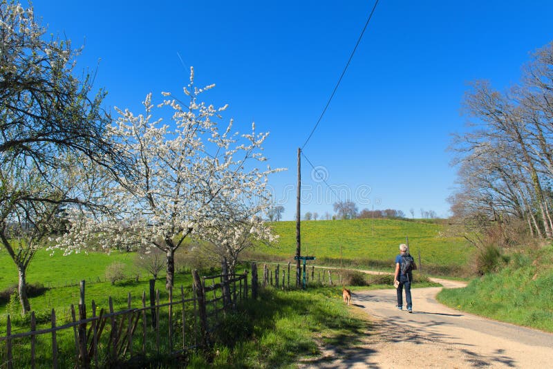 Chemin De Marche En Haute Provence Image stock - Image du verticale ...