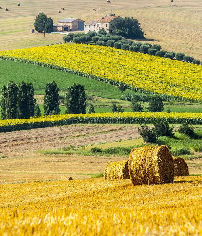 Marches (Italy) - Farm stock image. Image of nature, farmhouse - 28798199