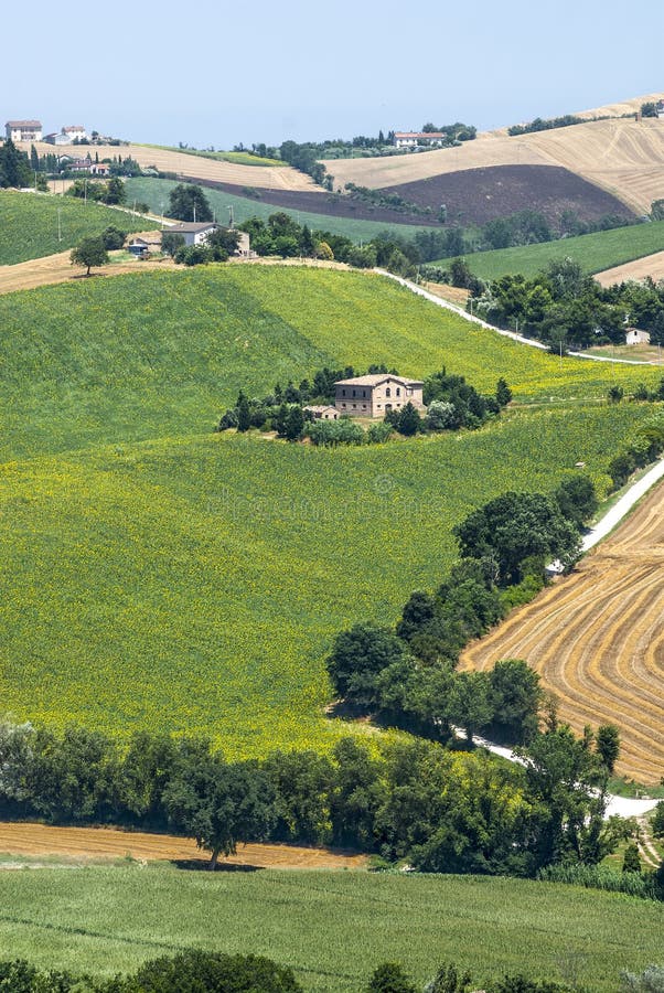 Marches (Italy) - Landscape Stock Image - Image of natural, plant: 29049781