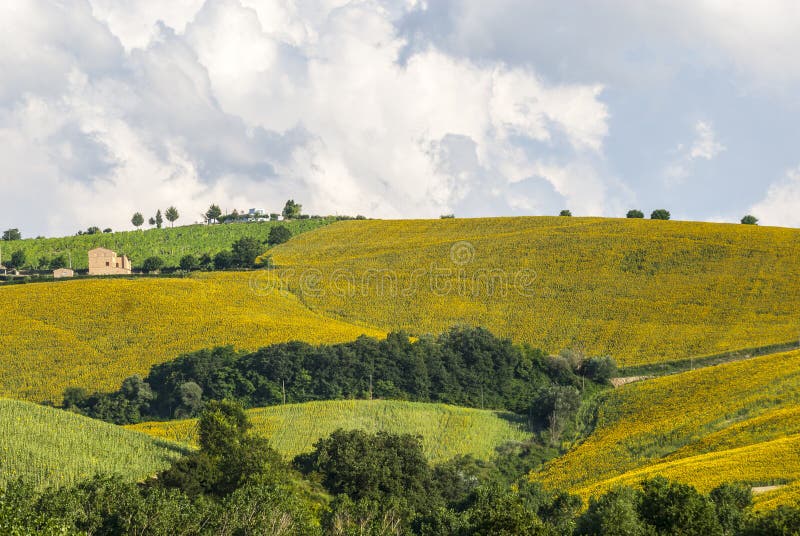 Marches (Italy), Landscape stock image. Image of italy - 29171093