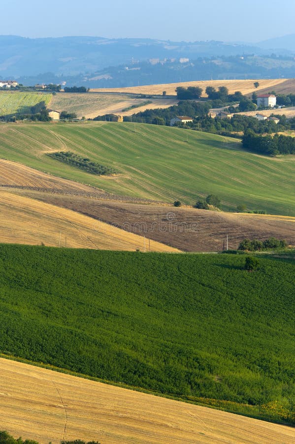 Marches (Italy) - Landscape at Summer Stock Photo - Image of land ...
