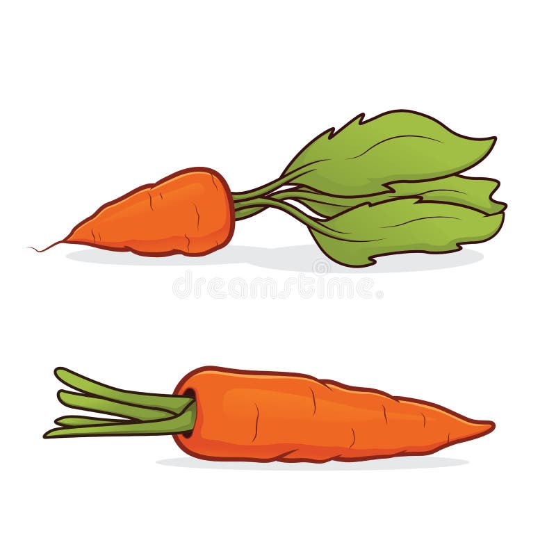Marchew ilustracja wektor. Ilustracja złożonej z marchewka - 56160126