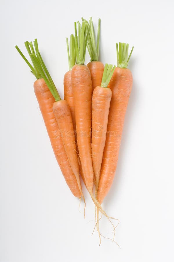 Marchewki zdjęcie stock. Obraz złożonej z świeży, jedzenie - 7675728