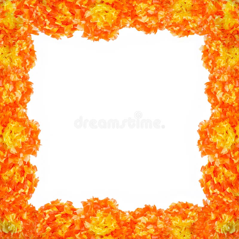 Marco de Cempasuchil imagen de archivo. Imagen de cultura - 101676647
