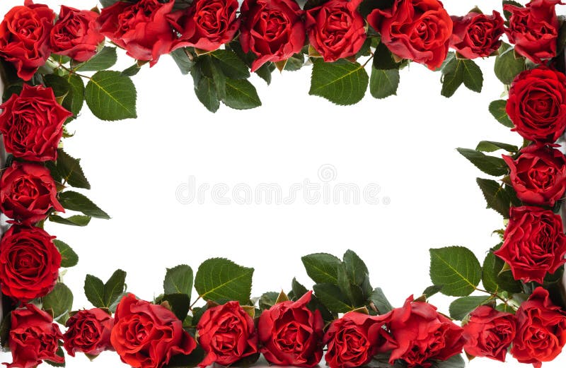 Marco de las rosas rojas imagen de archivo. Imagen de vacaciones - 47910791